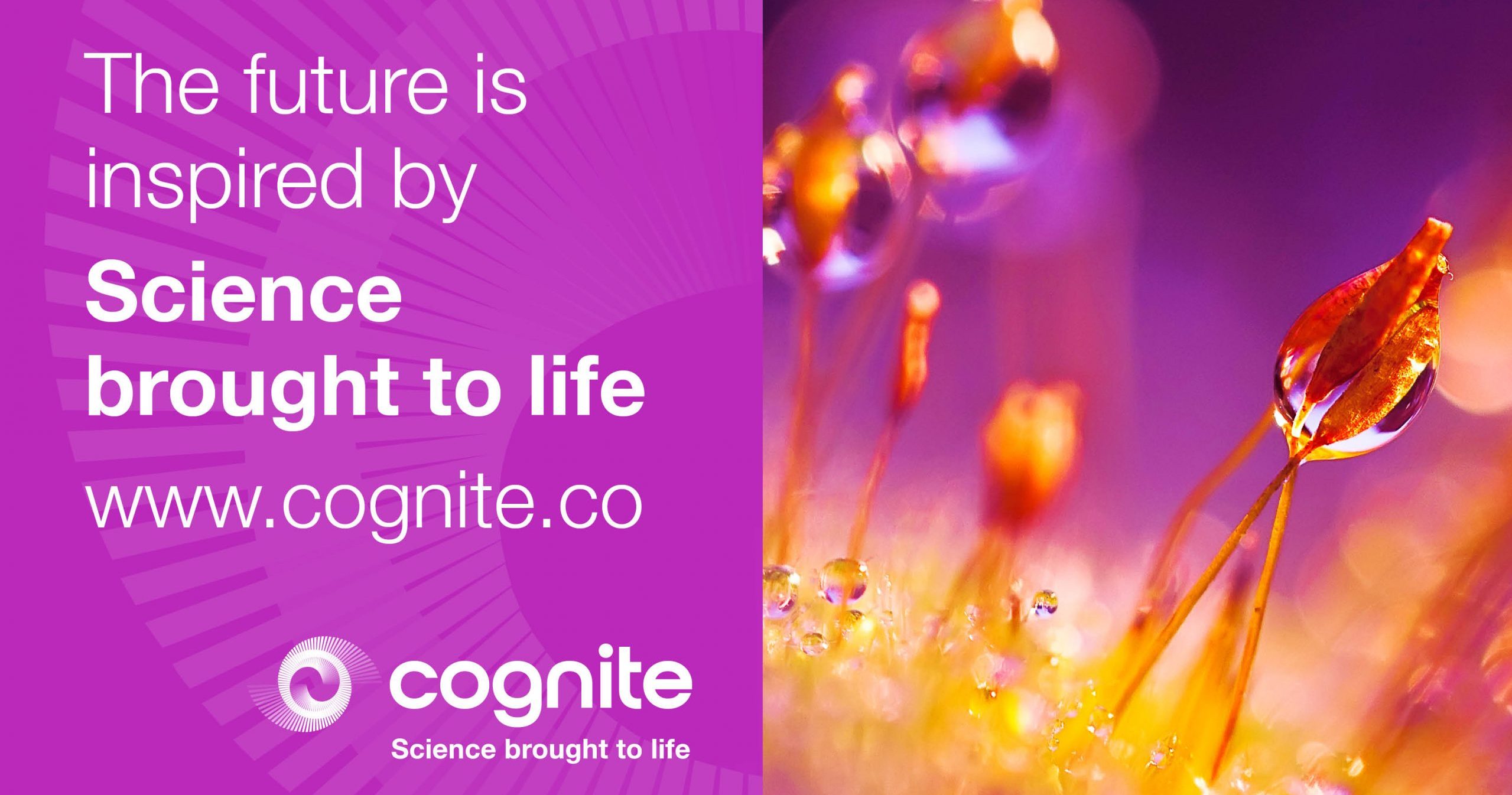 The future is inspired by Science brought to life - Cognite